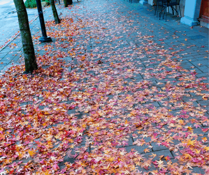 Salem Fall Leaf Management - 1430 KYKN